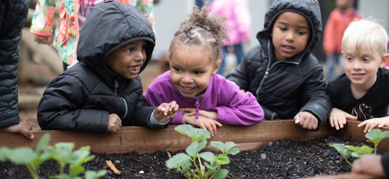 Urban Sprouts: Expanding Early Childhood Support | IFF